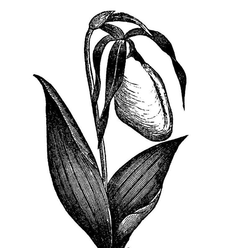 OMAR ALDOSARI🇰🇼 (@b3coach) | Snapchat Stories, Spotlight & Lenses