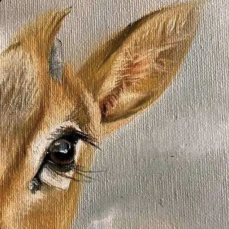 🦌 (@baby_mama311) | Snapchat Stories, Spotlight & Lenses