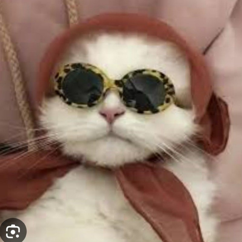 Baker Baker (@bakerbaker28758) | Snapchat Stories, Spotlight & Lenses