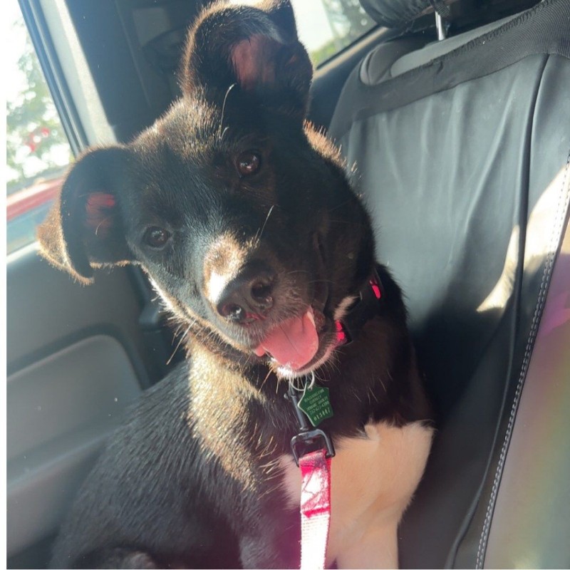 Bean (@bean11091) | Snapchat Stories, Spotlight & Lenses