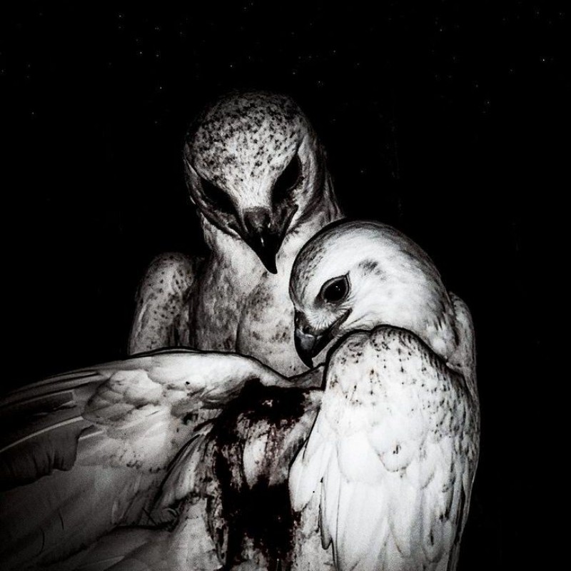 𝑺𝒂𝒅𝒊𝒆 (@beautyinthedead) | Snapchat Stories, Spotlight & Lenses