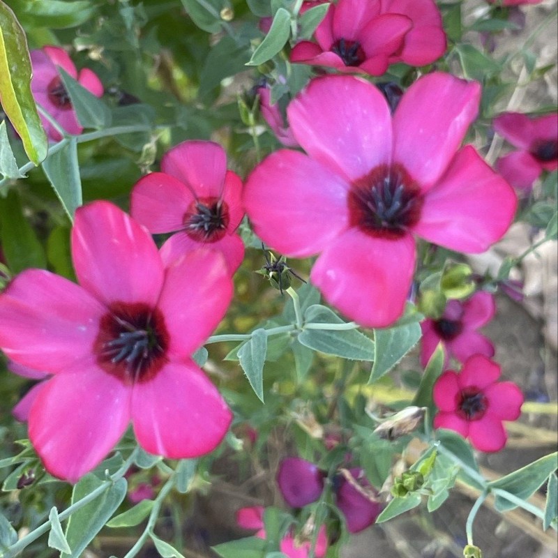 rebecca Story (@becky95258) | Snapchat Stories, Spotlight & Lenses