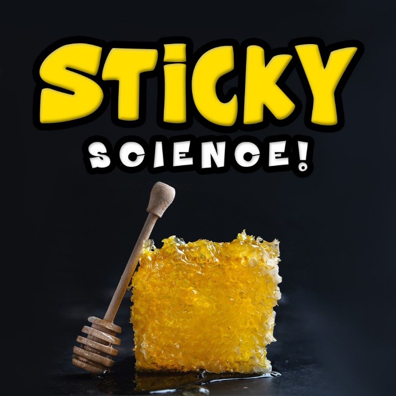 Bee Science | Snapchat Stories, Spotlight & Lenses