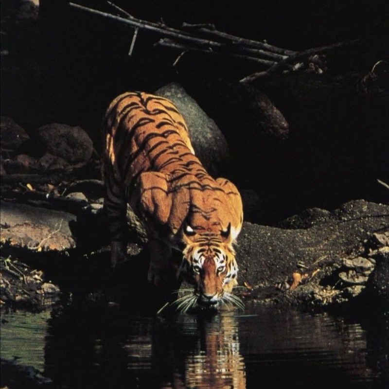 벡조드🐊🦅 ️🇰🇷 (@bekzod_dav1) | Snapchat Stories, Spotlight & Lenses