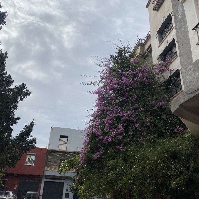 Farouh 🦢 (@bella-fa) | Snapchat Stories, Spotlight & Lenses