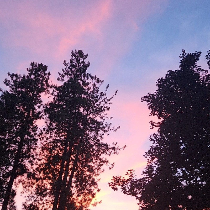 Bella (@bellamathison) | Snapchat Stories, Spotlight & Lenses