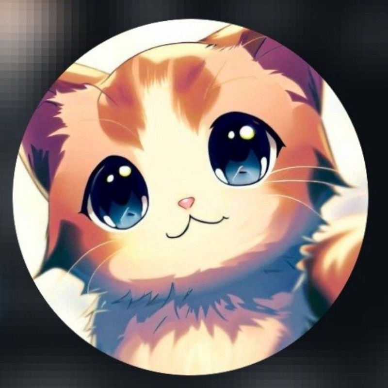 Bello Cat Club (@bellocatclub) | Snapchat Stories, Spotlight & Lenses