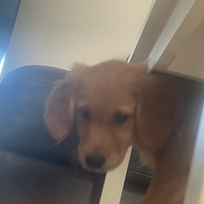 Ben Hogarth (@benhogarth22) | Snapchat Stories, Spotlight & Lenses