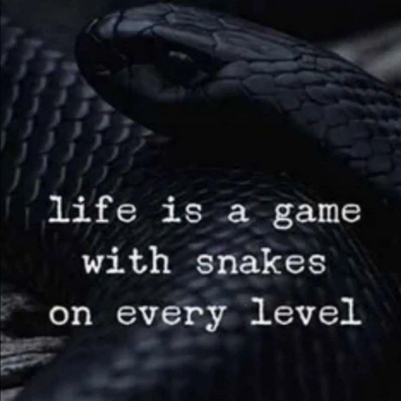 Lastmanstanding (@big_man440) | Snapchat Stories, Spotlight & Lenses