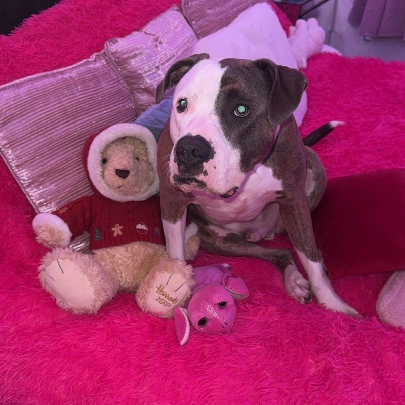 W-E-C (@bigbattycatty) | Snapchat Stories, Spotlight & Lenses