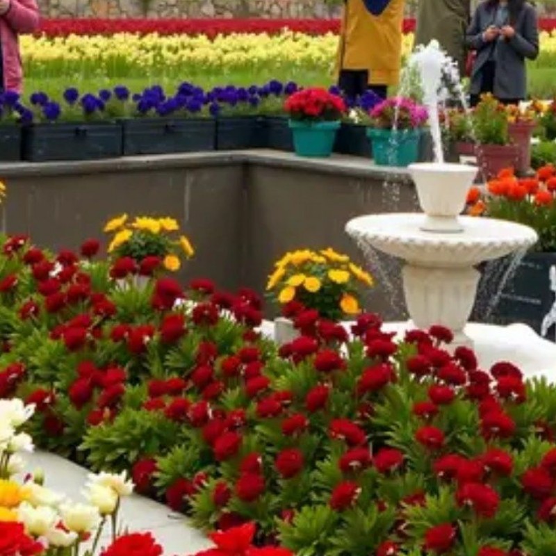 Saba Jan (@bjan2025) | Snapchat Stories, Spotlight & Lenses