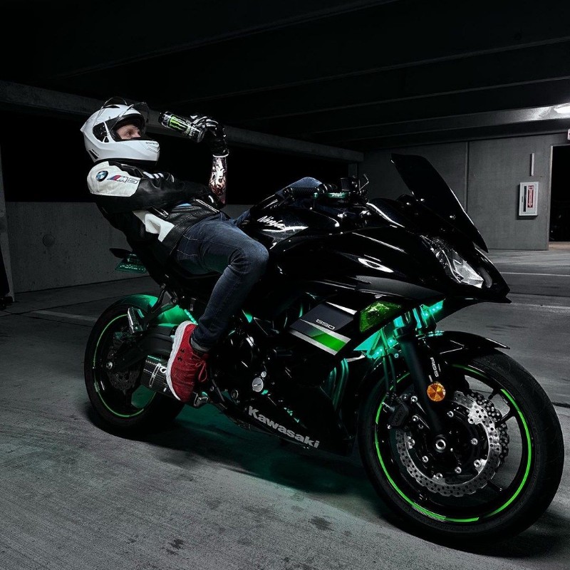 Ninja Ryder (@blondecatdad) | Snapchat Stories, Spotlight & Lenses