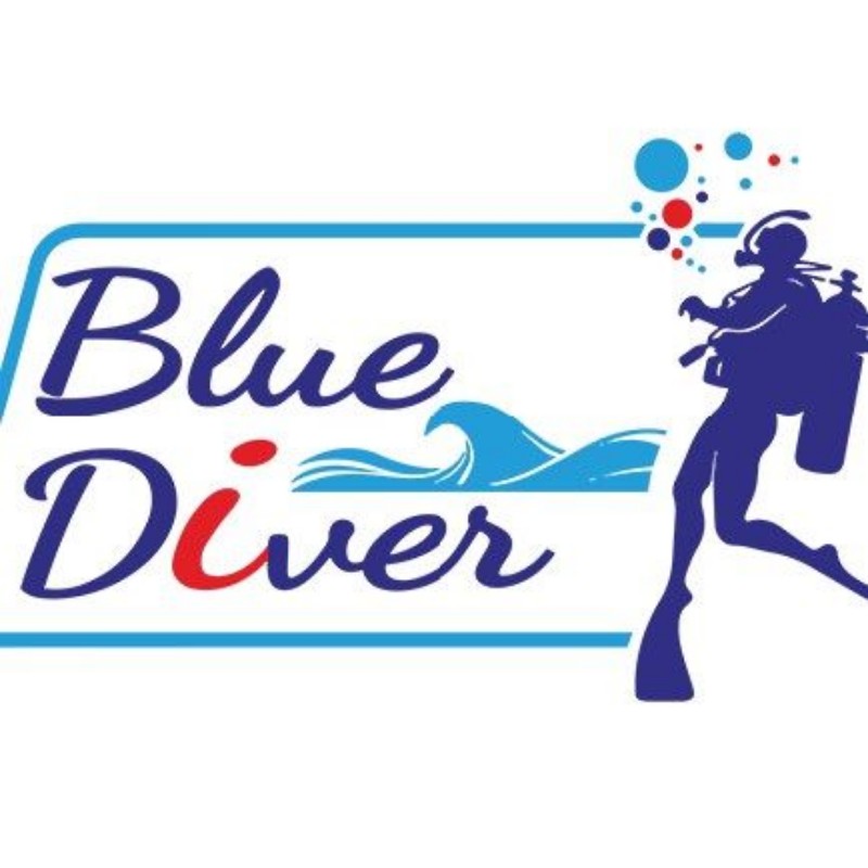 Blue Diver Club (@bluediverclub) | Snapchat Stories, Spotlight & Lenses