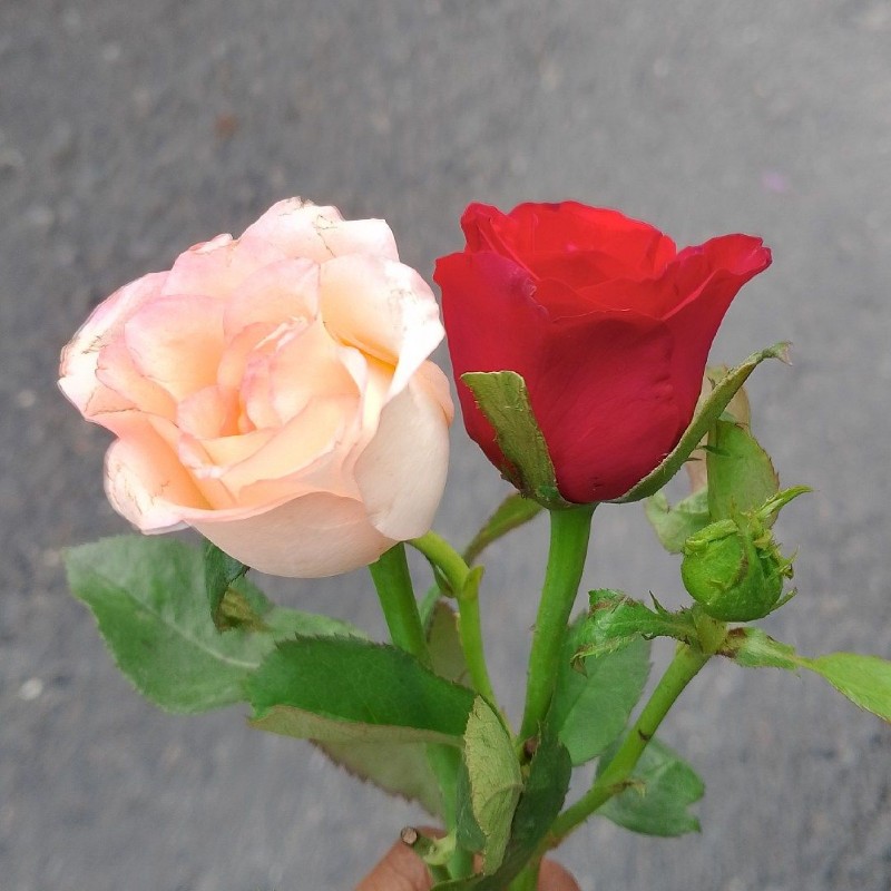 Boy's Emotion (@boysemotion) | Snapchat Stories, Spotlight & Lenses