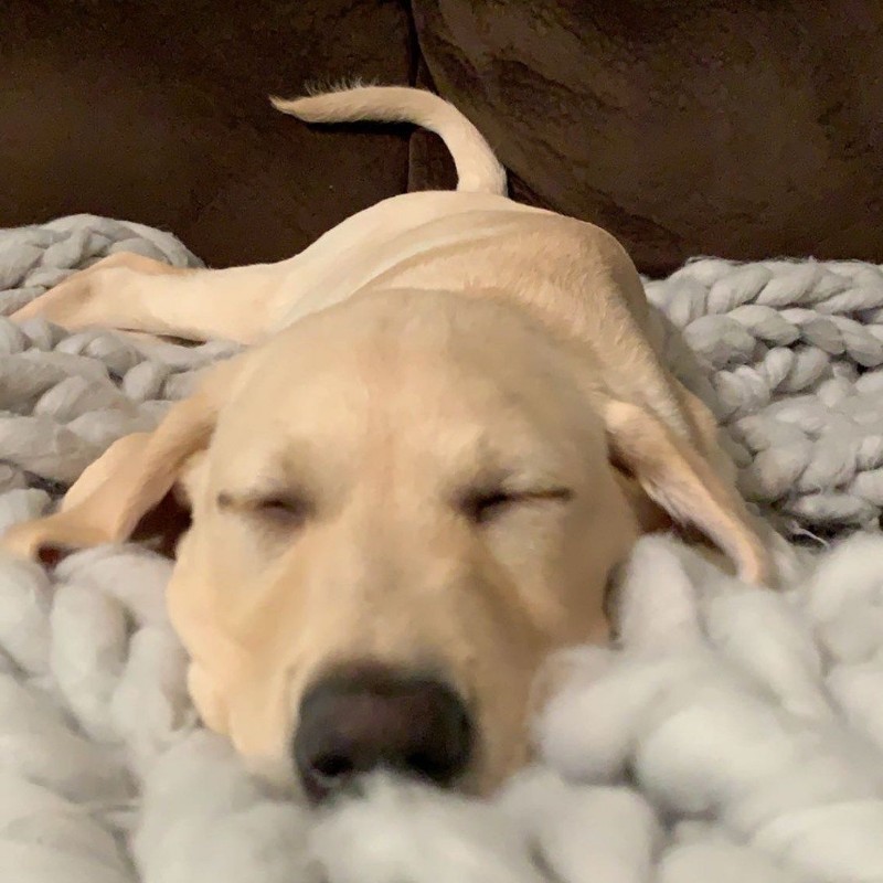 Brandi Clark (@brandiclark-1) | Snapchat Stories, Spotlight & Lenses