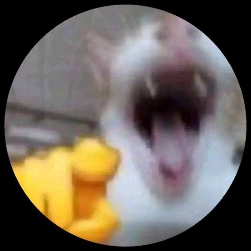 Nostalgia Cartoons (@branimation_1) | Snapchat Stories, Spotlight & Lenses