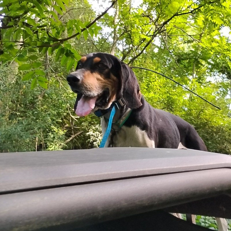 Bryant Blake (@bryantblake25) | Snapchat Stories, Spotlight & Lenses