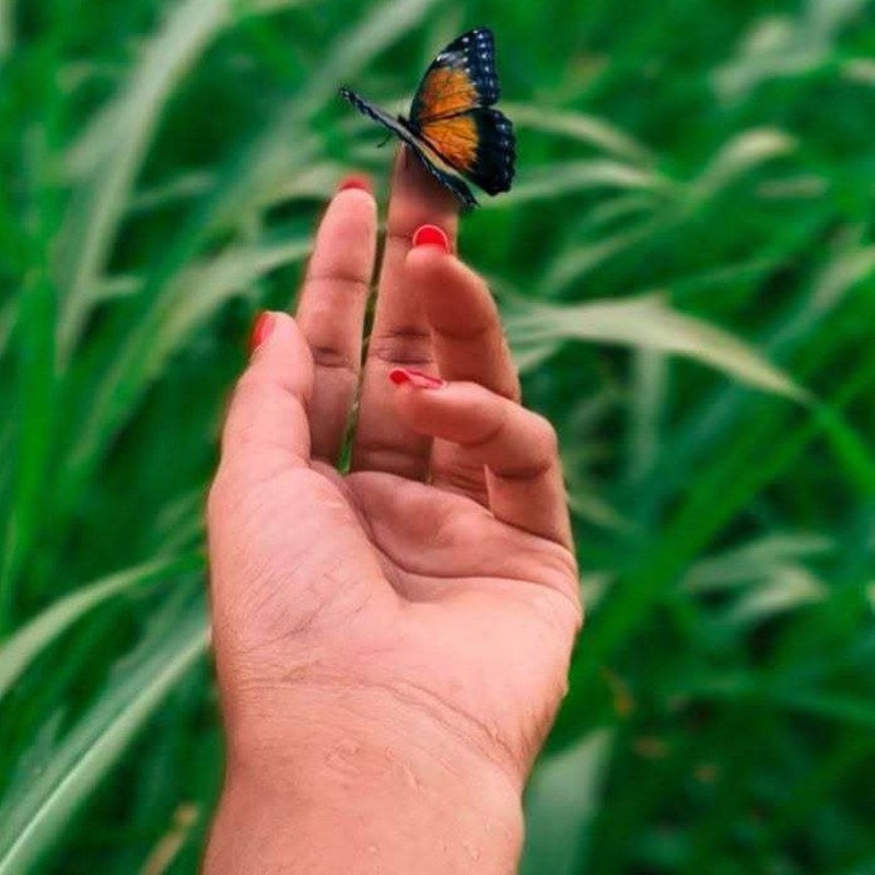 Butterfly 🦋 (@butterfly252901) | Snapchat Stories, Spotlight & Lenses