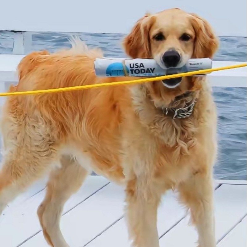 Buz Nikja (@buznikja) | Snapchat Stories, Spotlight & Lenses