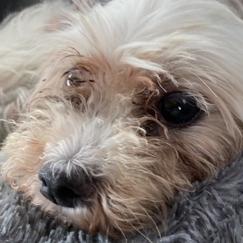 Cait The Country Girl🤠 (@caitlyn_mcclu22) | Snapchat Stories, Spotlight ...