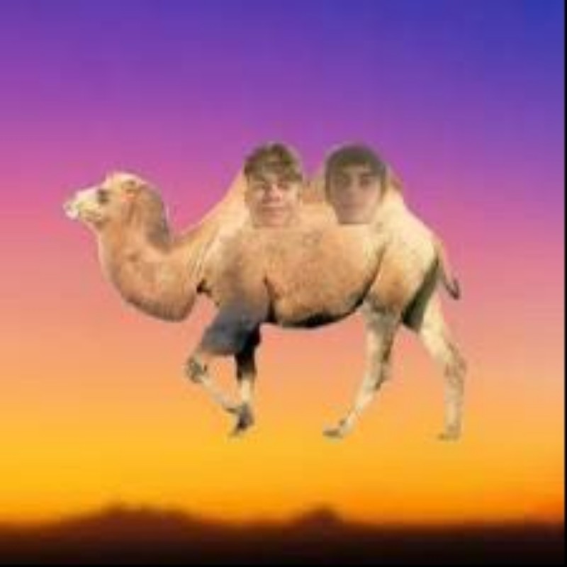 Camel Skits (@camelskits) | Snapchat Stories, Spotlight & Lenses
