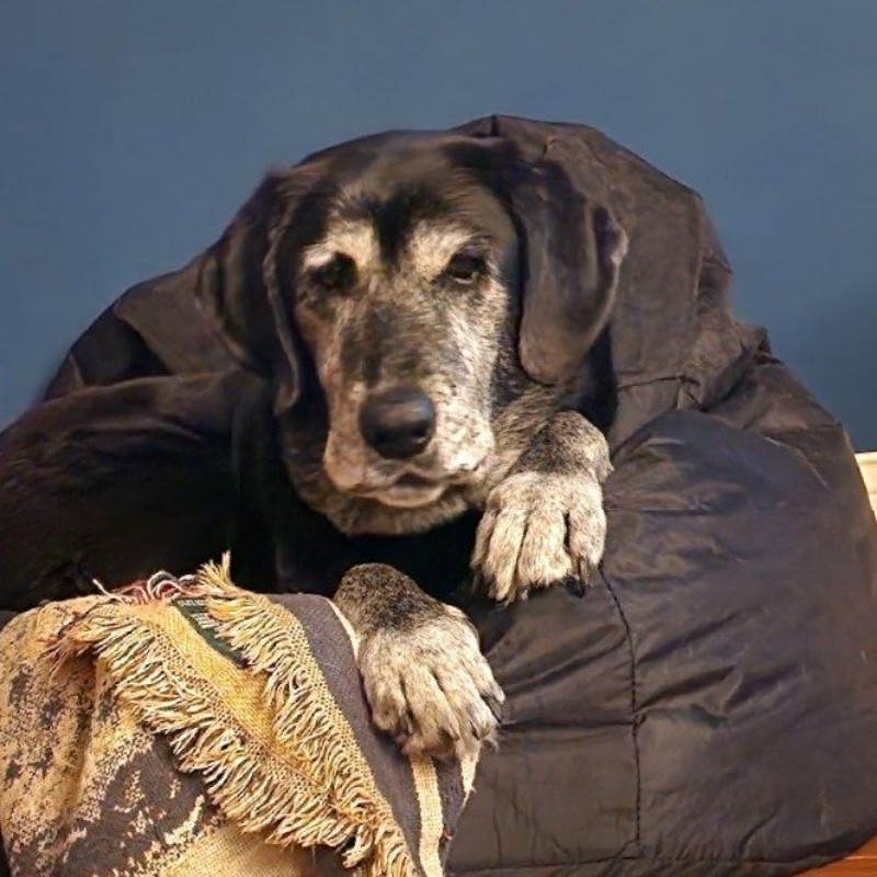 Brandon Edwards (@carolinaboy1) | Snapchat Stories, Spotlight & Lenses