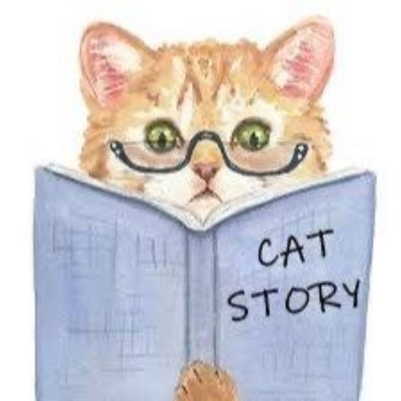 Cat Story’s (@catstorys) | Snapchat Stories, Spotlight & Lenses
