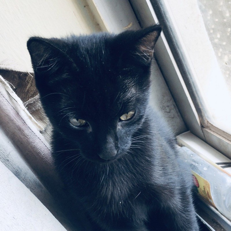 Chalbyen Dashe (@chal-byen) | Snapchat Stories, Spotlight & Lenses