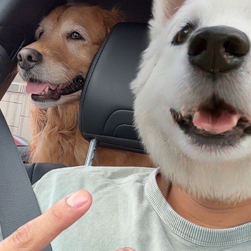 Charlie =P (@charliecel09) | Snapchat Stories, Spotlight & Lenses