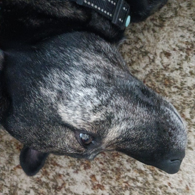 Charlie Cousins (@charliecous5628) | Snapchat Stories, Spotlight & Lenses