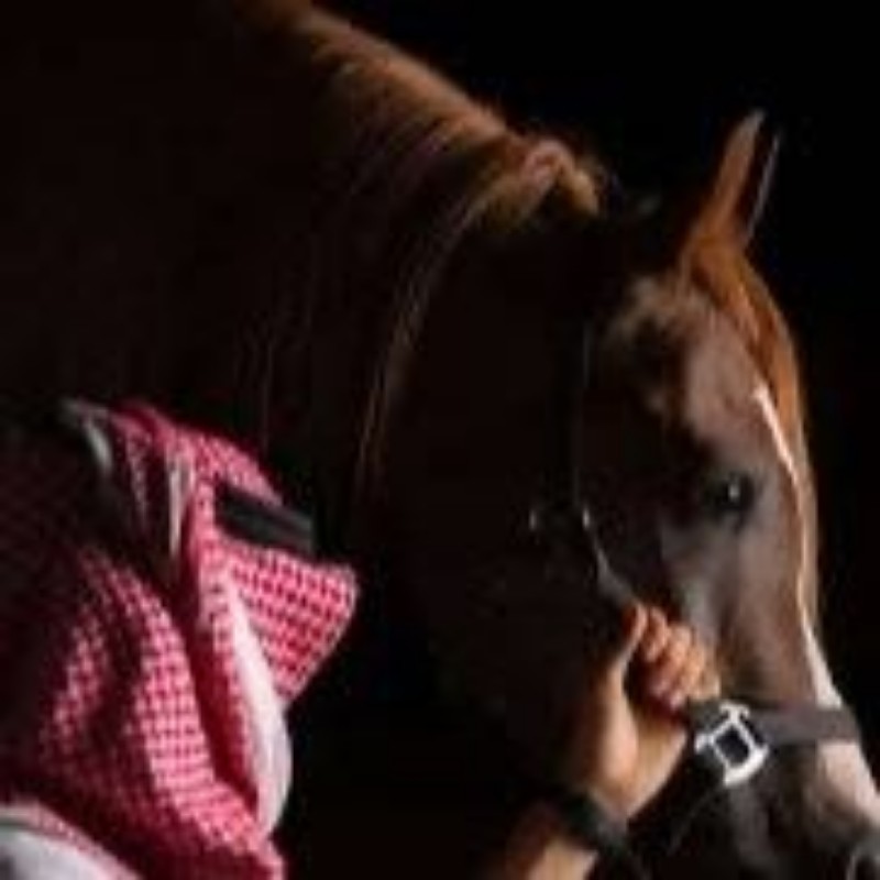 (@chivas69-1) | Snapchat Stories, Spotlight & Lenses