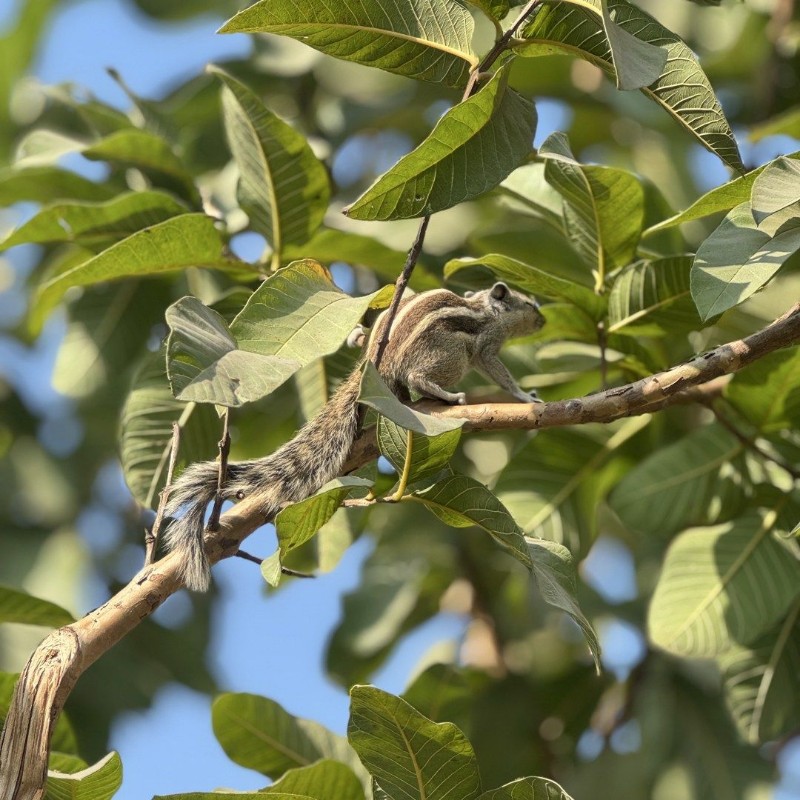 Cho_bar 🤍 (@cho_bar141110) | Snapchat-Stories, Spotlight och linser