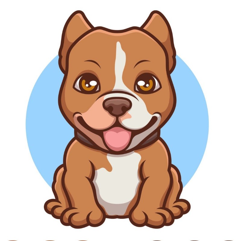 Chocodogger (@chocodoggersnap) | Snapchat Stories, Spotlight & Lenses