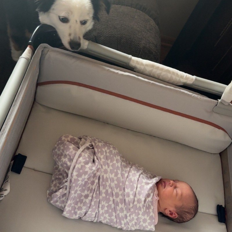 Christian Alano (@christian_alano) | Snapchat Stories, Spotlight & Lenses