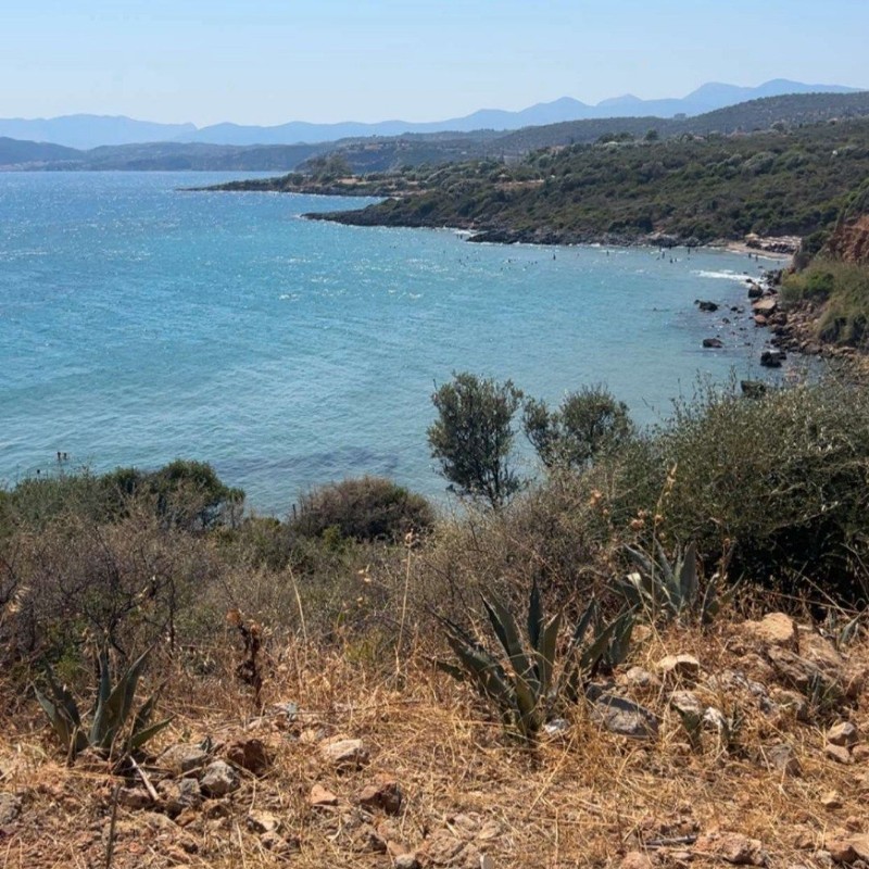 Chris Zorbas🇬🇷☦️ (@chriszorbas999) | Snapchat Stories, Spotlight & Lenses