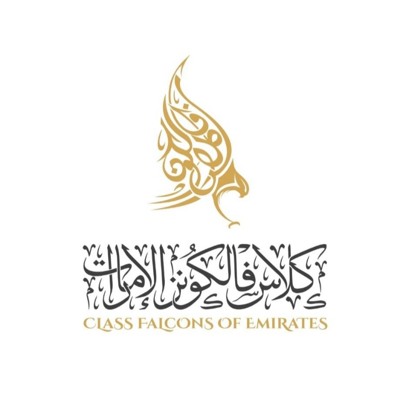 classfalcons (@classfalcons) | Snapchat Stories, Spotlight & Lenses