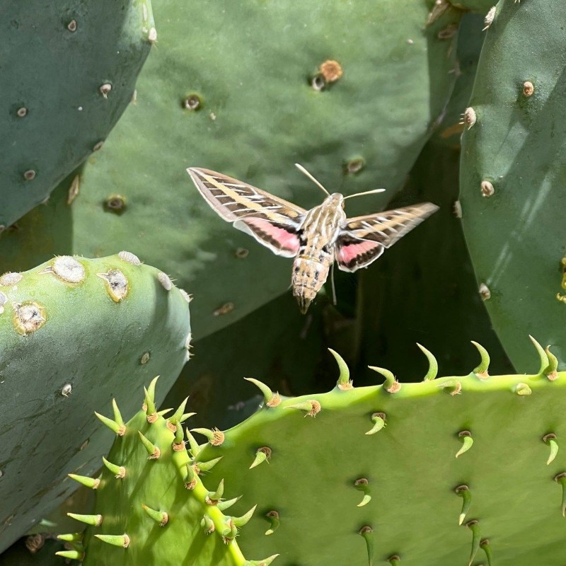 Cole (@cole4650) | Snapchat Stories, Spotlight & Lenses