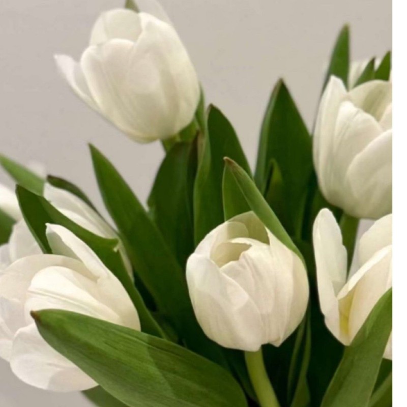 طبخات من أجلك | ♥️ (@cooking_forya) | Snapchat Stories, Spotlight & Lenses