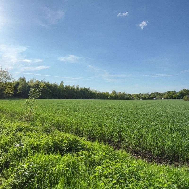 Funny Core (@core_random21) | Snapchat Stories, Spotlight & Lenses