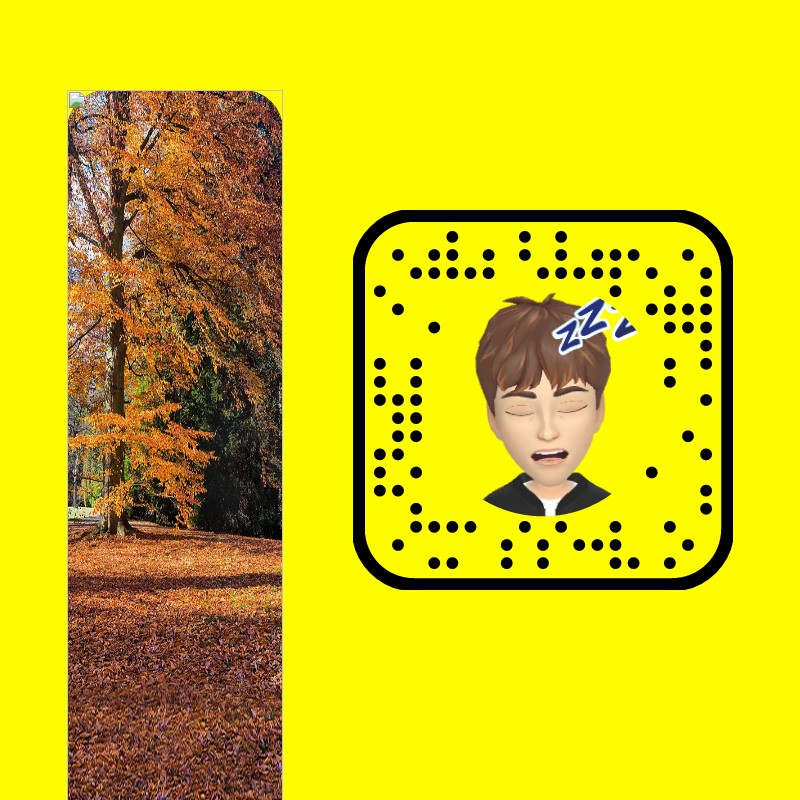 Kade Morris (@crackermorris) | Snapchat Stories, Spotlight & Lenses