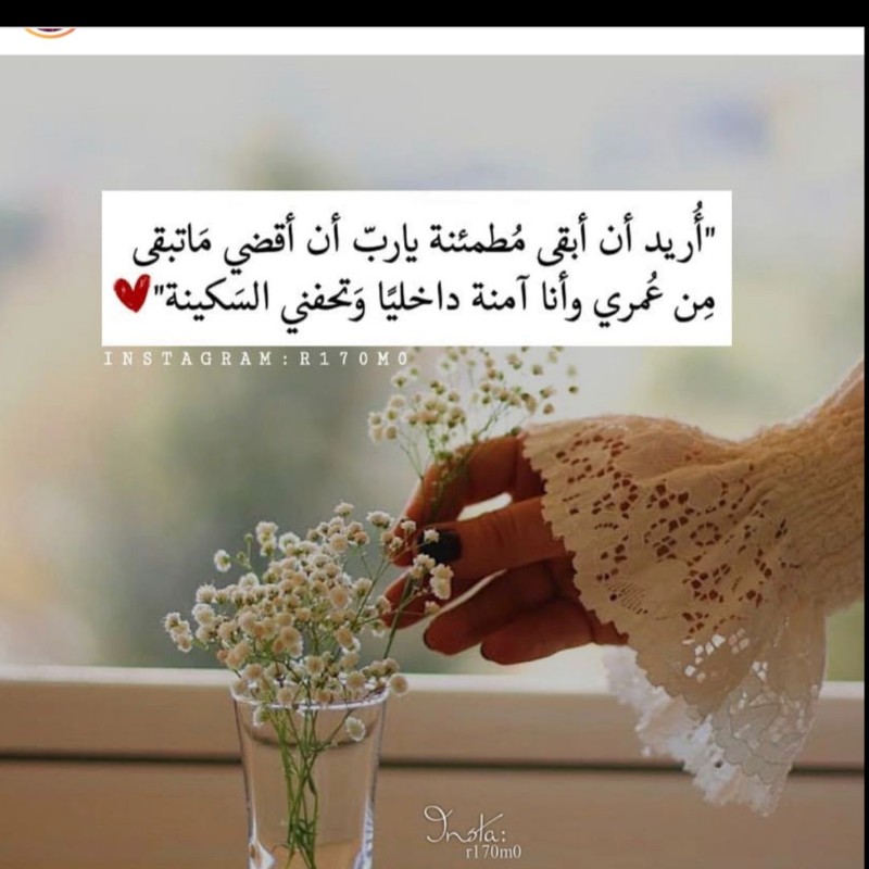 إبداع أنثى🪻 ️ (@creative_go) | Snapchat Stories, Spotlight & Lenses