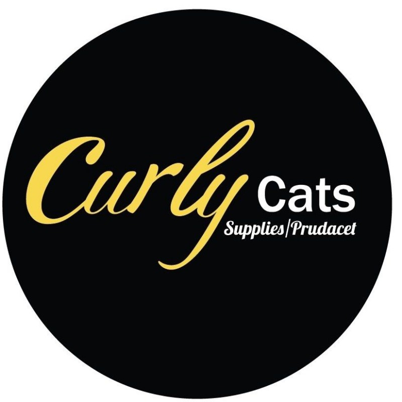 Curly Cats (@curlycatsq8) | Snapchat Stories, Spotlight & Lenses