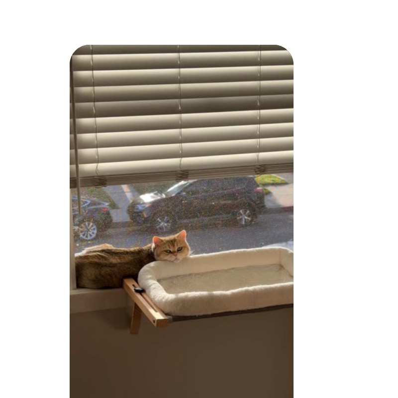 Aaron Maternowski (@curlyyfuq) | Snapchat Stories, Spotlight & Lenses