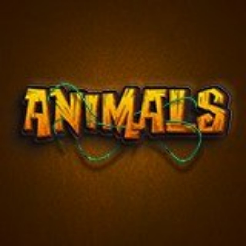 Animals (@cuteanimalstv) | Snapchat Stories, Spotlight & Lenses