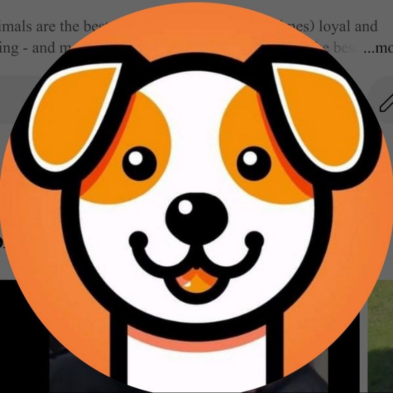 Daily Mail Animals (@dailyanimalmail) | Snapchat Stories, Spotlight ...