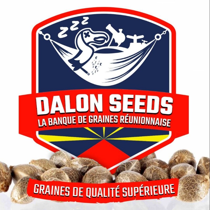 Jaime Dalon (@dalonseeds) | Snapchat Stories, Spotlight & Lenses