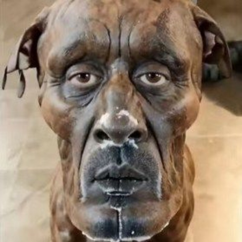 Daniel Valverde (@danny_crazy123) | Snapchat Stories, Spotlight & Lenses