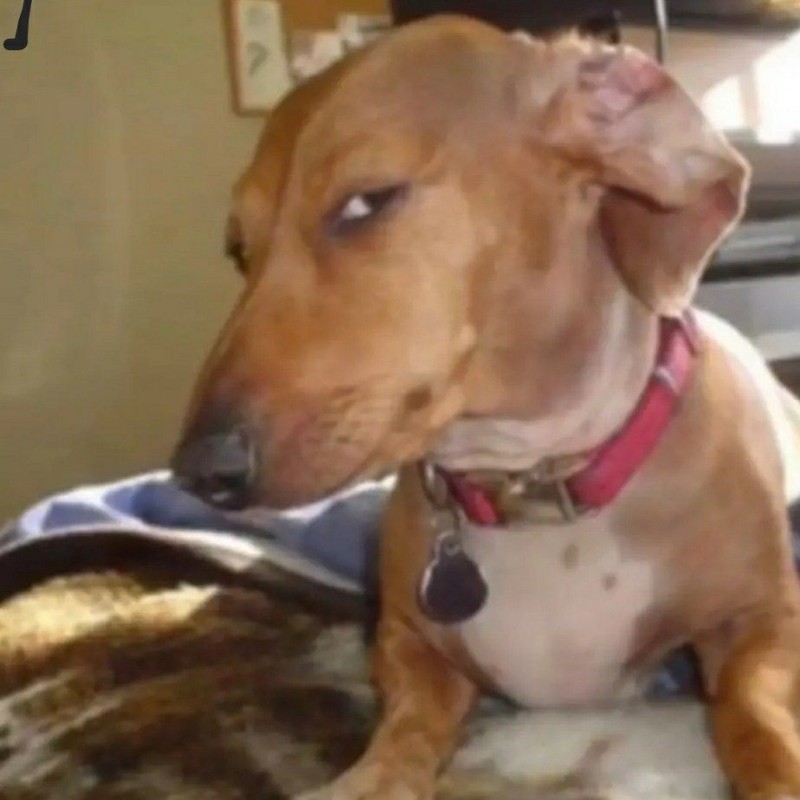 Tegan (@datacad) | Snapchat Stories, Spotlight & Lenses