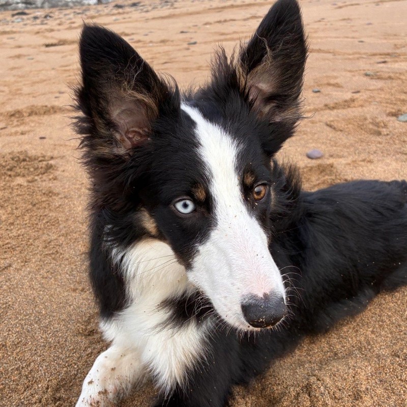 ~ɗawn☆ (@dawn-lola) | Snapchat Stories, Spotlight & Lenses