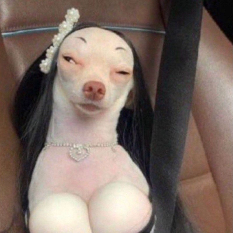 Rudeboy😼 (@deakyfreak) | Snapchat Stories, Spotlight & Lenses